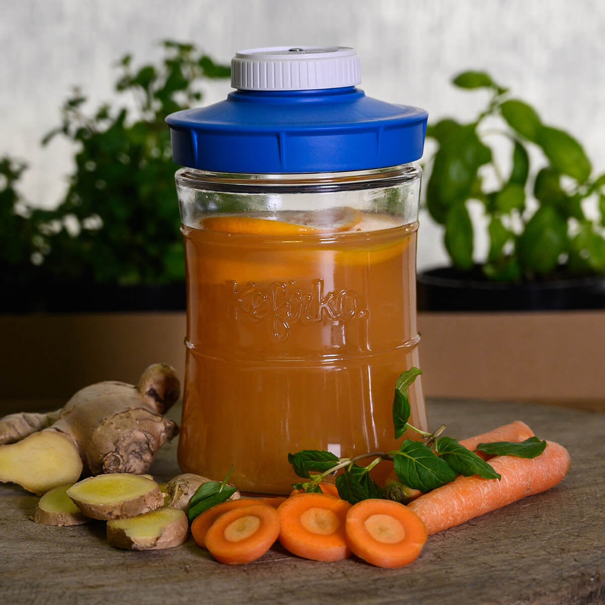 Second Fermentation - KEFIRKO